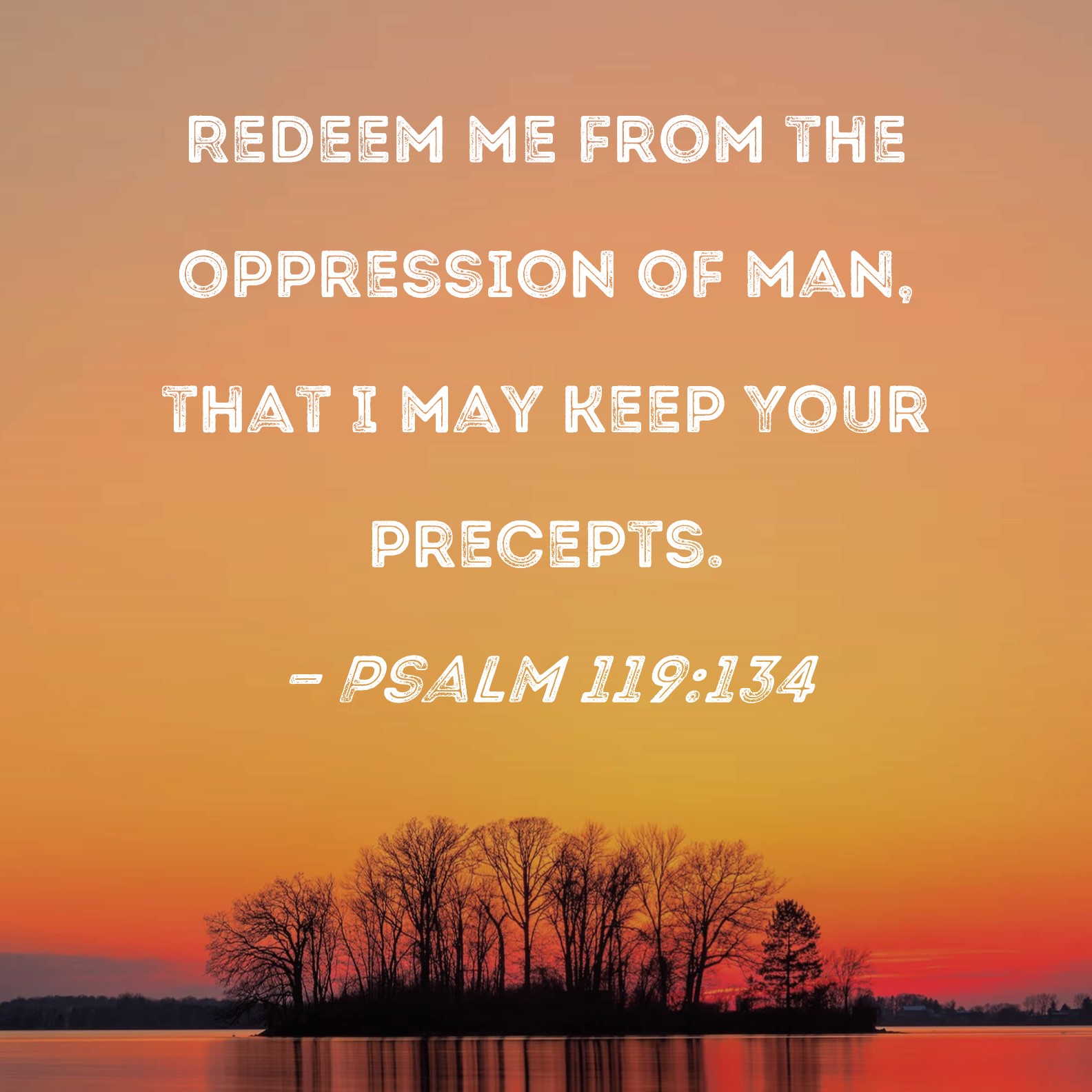 主日信息:如何用神的话语向神祷告?(含视频/音频) - 生命季刊